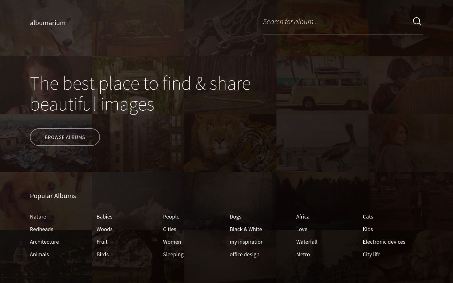 Albumarium - Aslam.ai
